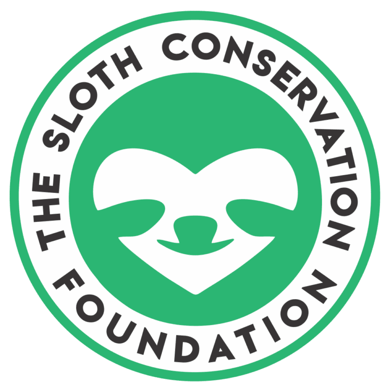 The Sloth Conservation Foundation - Parc Animalier d'Auvergne