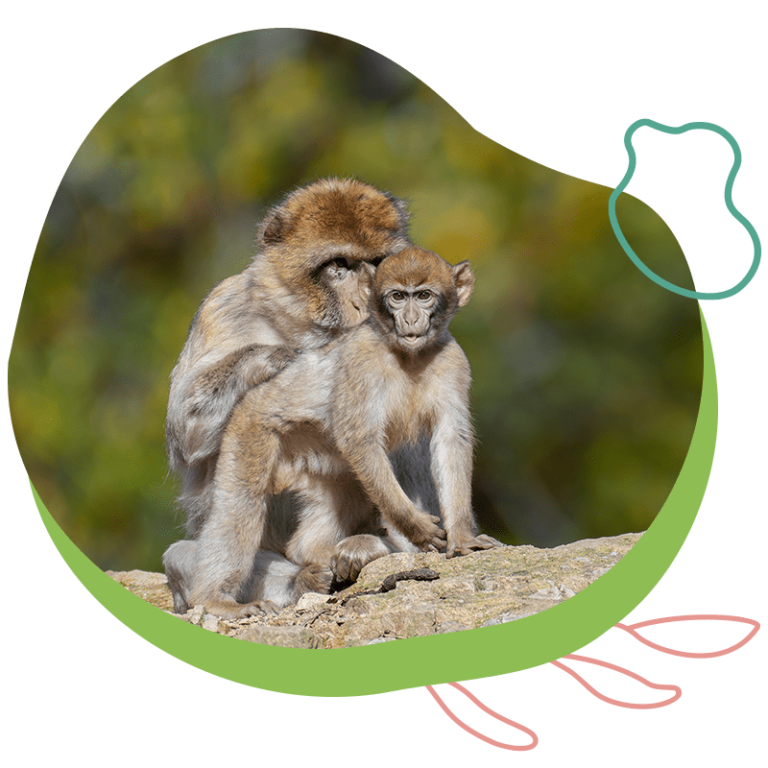 Euro Nature - Parc Animalier d'Auvergne